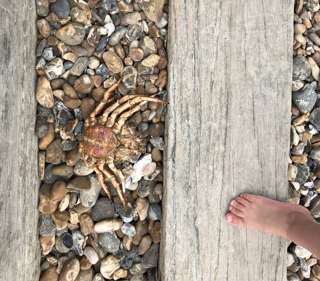 Loren Leaver – Ocean Daze